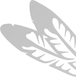 Home - Centerfire Energy Group